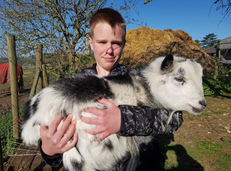 Bath - Hill House - Jamie's Farm