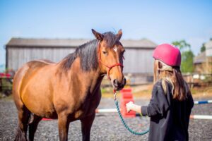 Bath - Hill House - Jamie's Farm