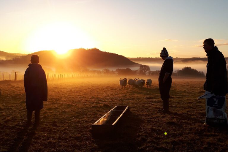 Impact - Jamie's Farm