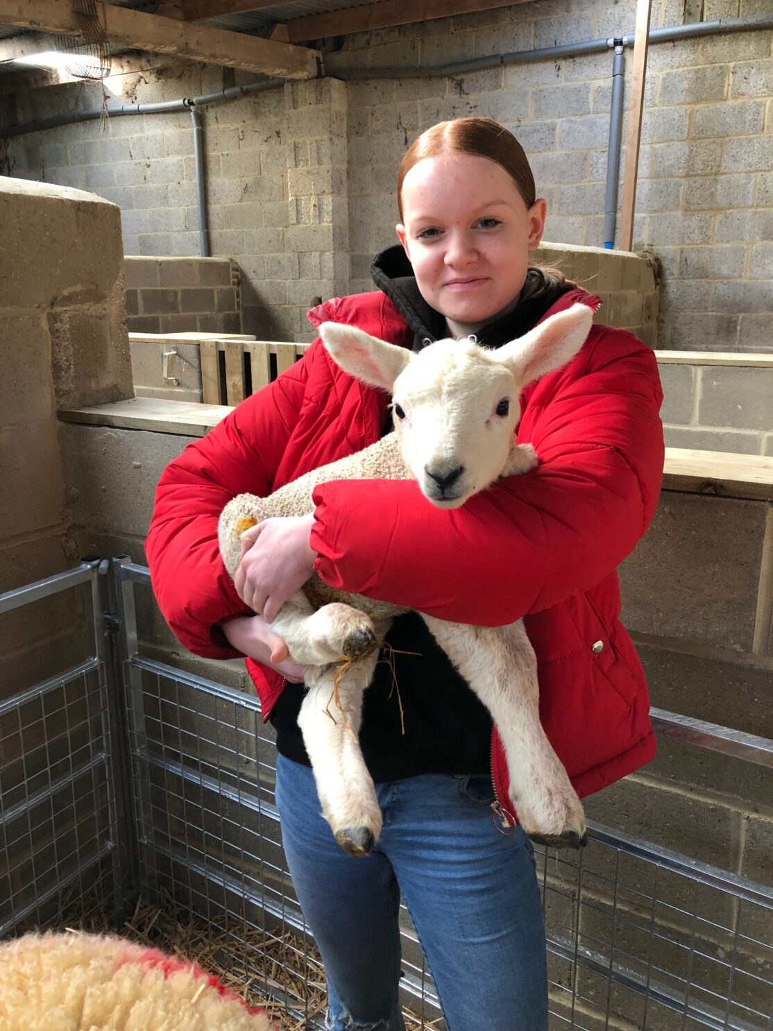 Impact - Jamie's Farm