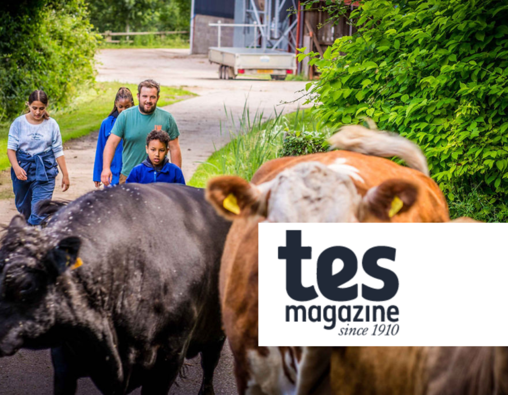 Is farm therapy the key to fixing behaviour? - Jamie's Farm