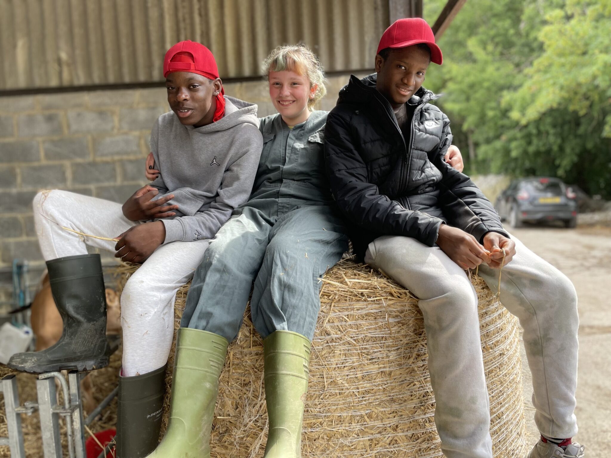 Lewes - Jamie's Farm