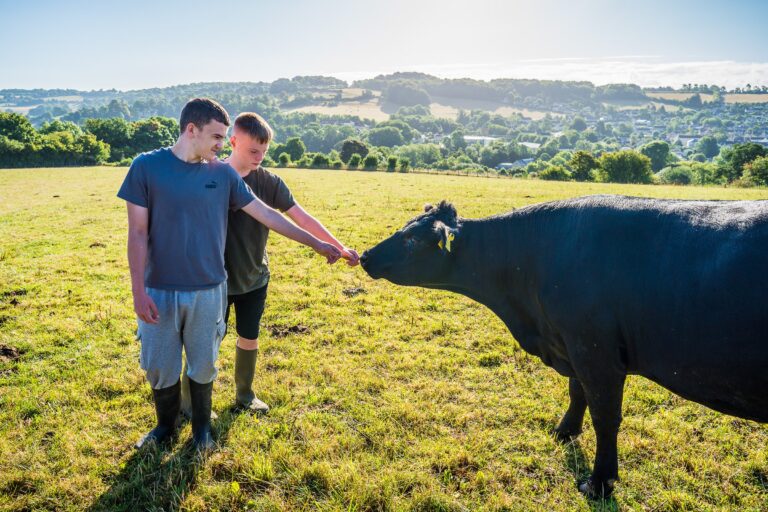 Bath - Hill House - Jamie's Farm