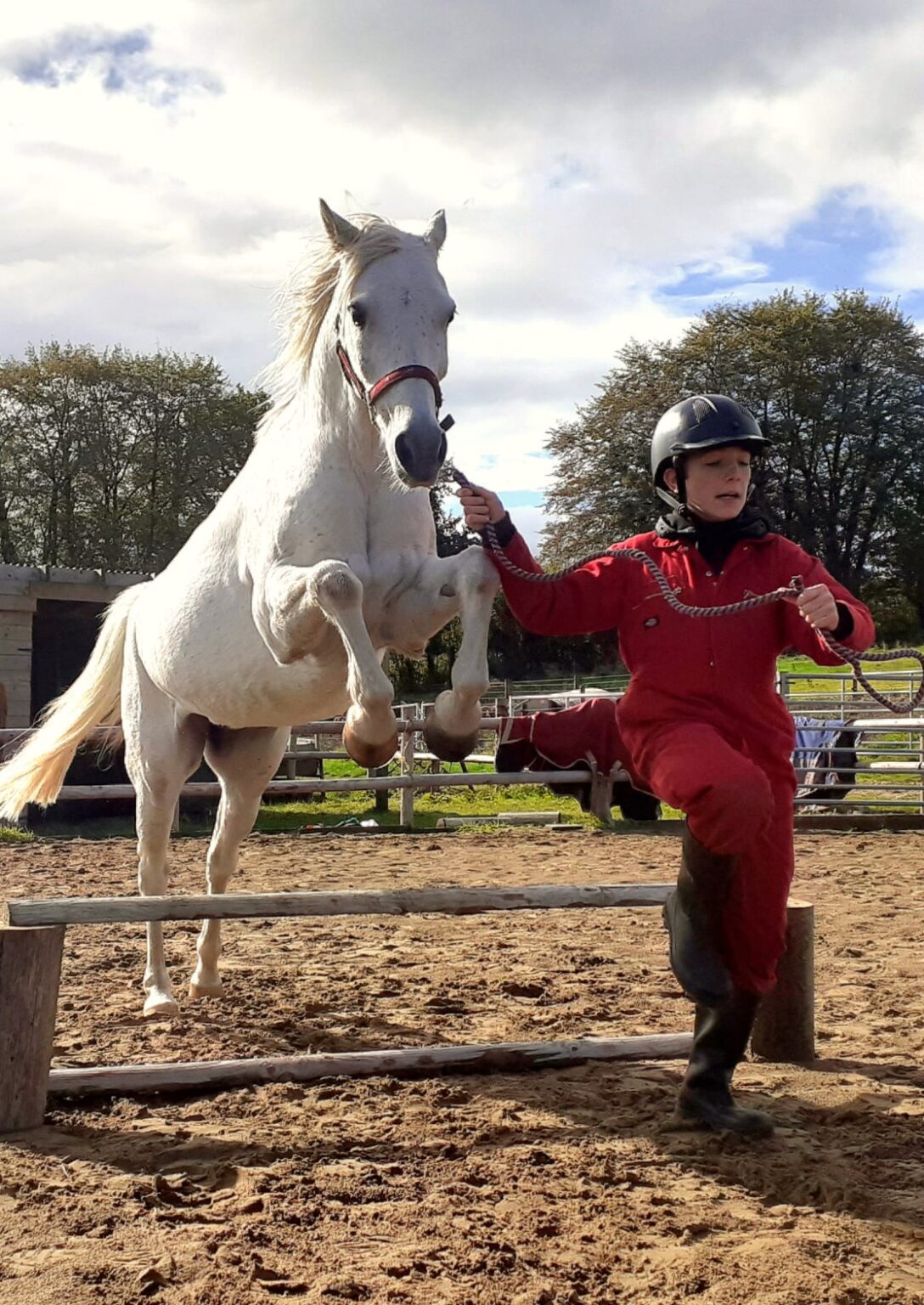 Young people - Jamie's Farm