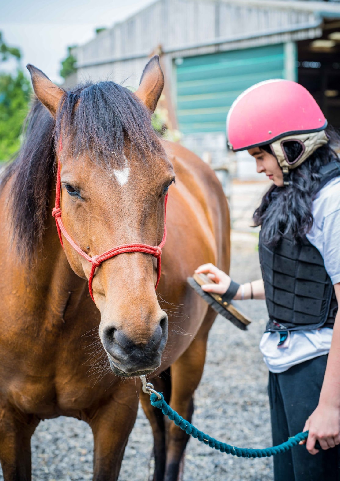 Jamie's Farm - Equipping young people to thrive - Home