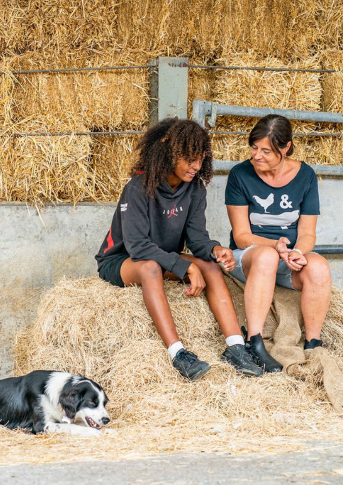 Impact - Jamie's Farm