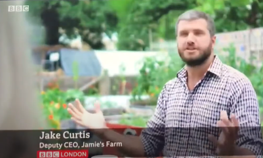 BBC London News - Jamie's Farm