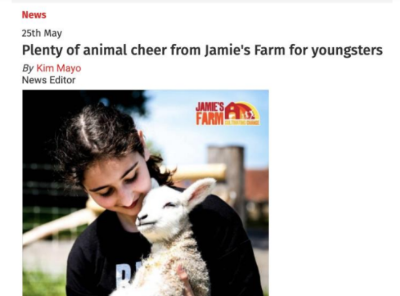 There is plenty to learn thanks to Jamie's Farm - Jamie's Farm