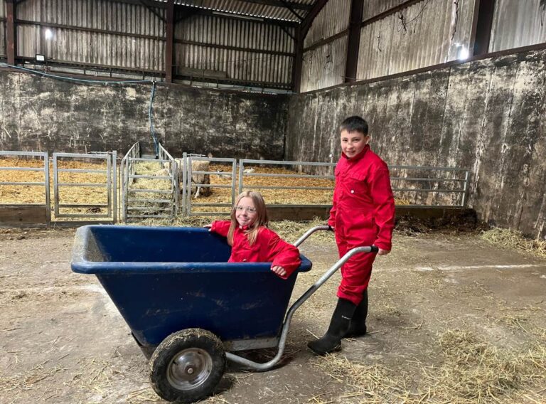 Skipton - Jamie's Farm