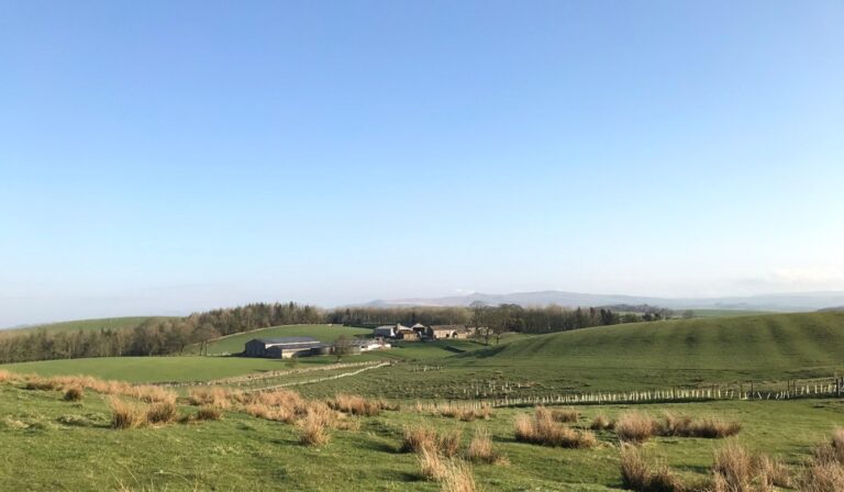 Regenerative Farming - Jamie's Farm