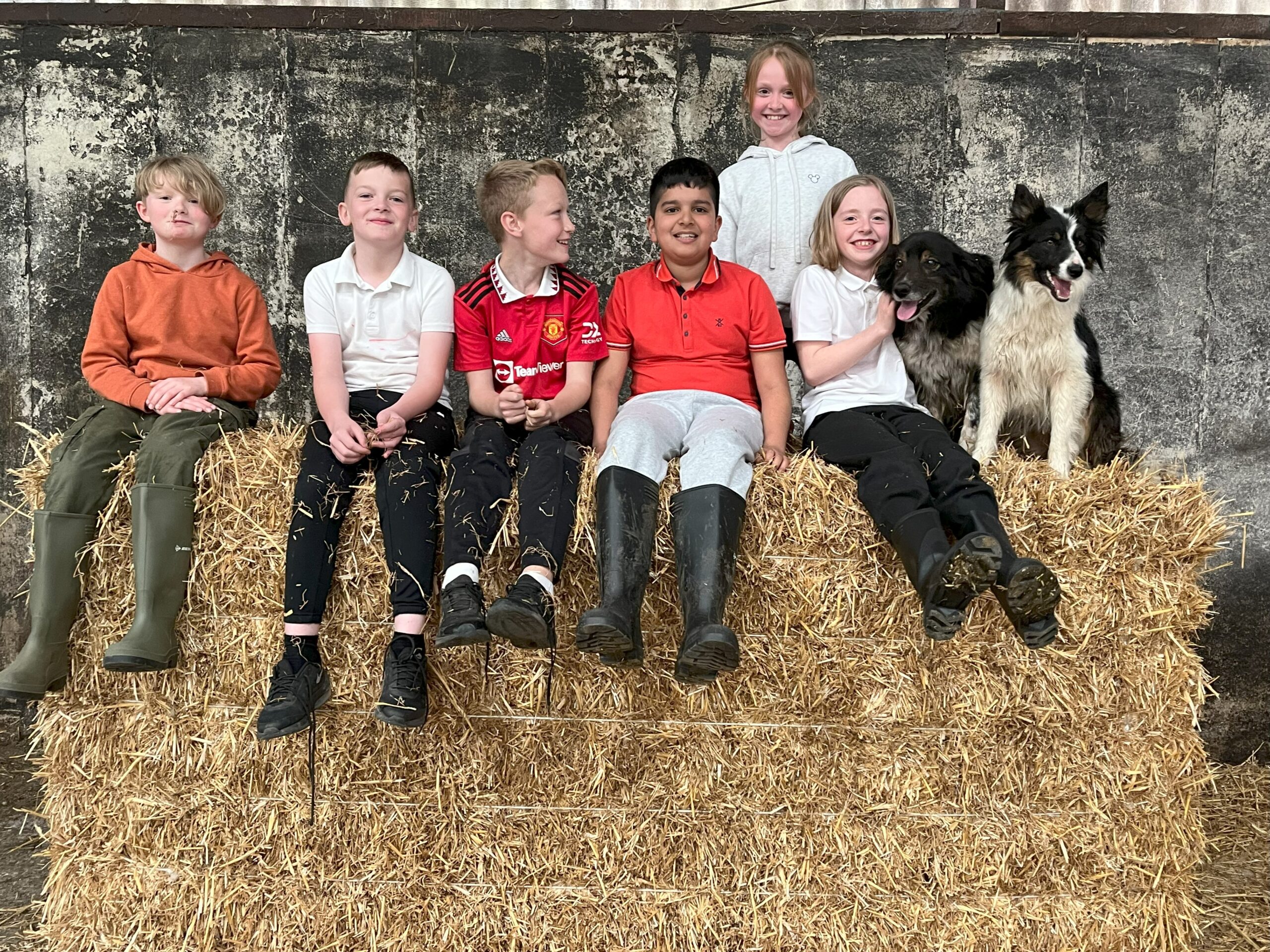 A farming education - Jamie's Farm