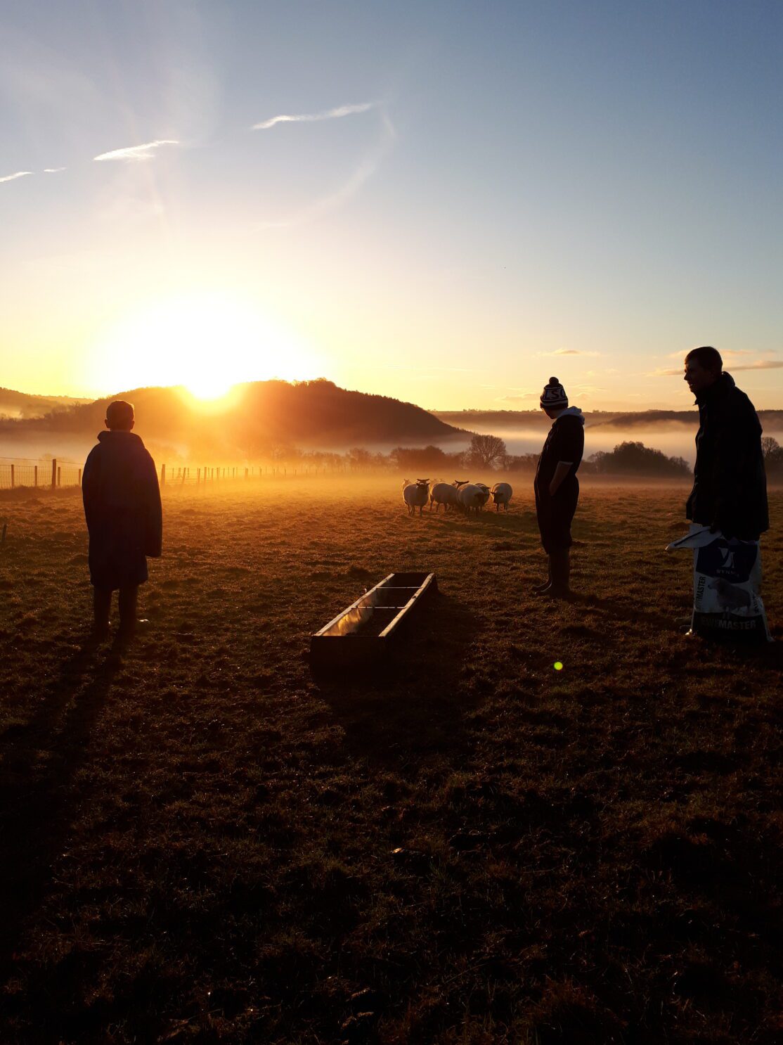 Airbnb Farm Houses supporting Jamie's Farm